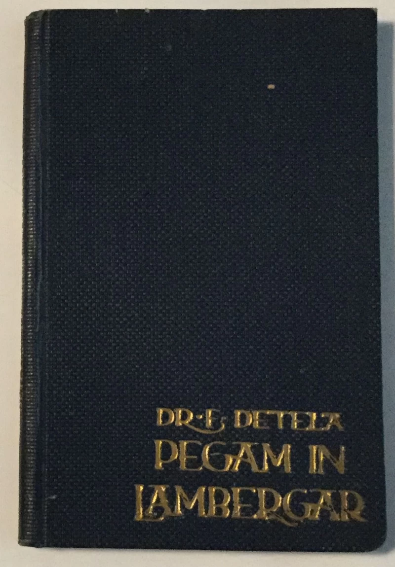 DR. FR. DETELA: PEGAM IN LAMBERGAR - FR. DETELA DR.